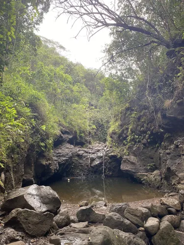 2023 Best River Trails in Ewa Forest Reserve | AllTrails