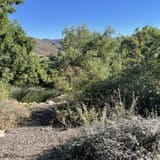 Conejo Valley Botanic Garden, California - 317 Reviews, Map | AllTrails
