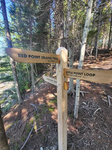 Best Hikes and Trails in Red Point Preserve | AllTrails