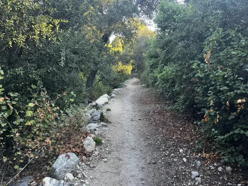 10 Best Trails and Hikes in Pasadena | AllTrails