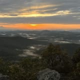 Buffalo Mountain Trail, Virginia - 652 Reviews, Map | AllTrails