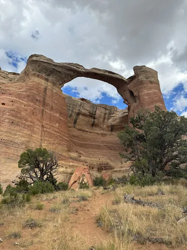 Best 10 Hikes and Trails in Black Ridge Canyons Wilderness | AllTrails