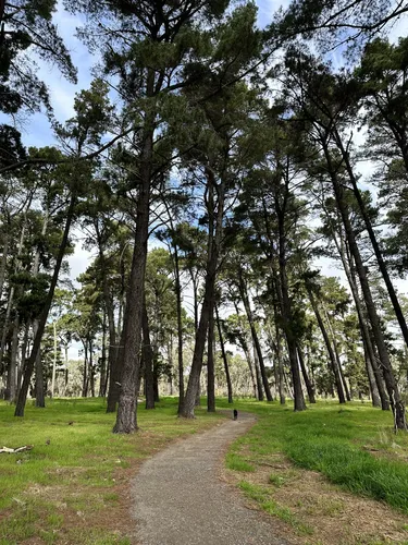 Best Hikes and Trails in Walmer Forest Reserve | AllTrails