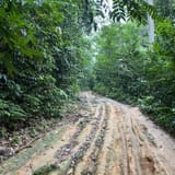 Lepoh Waterfalls, Selangor, Malaysia - 271 Reviews, Map | AllTrails