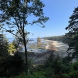 Rialto Beach Trail, Washington - 349 Reviews, Map | AllTrails