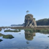 Rialto Beach Trail, Washington - 349 Reviews, Map | AllTrails