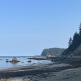 Rialto Beach Trail, Washington - 349 Reviews, Map | AllTrails