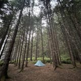 Rialto Beach Trail, Washington - 349 Reviews, Map | AllTrails