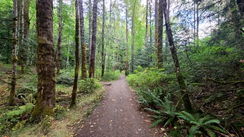 2023 Best 10 Trails and Hikes in Issaquah | AllTrails