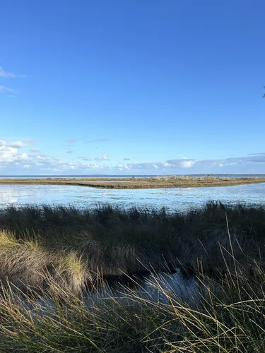 Best Hikes and Trails in Len Howard Conservation Park | AllTrails