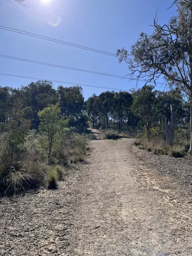 Best Hikes and Trails in Aranda Bushland Nature Reserve | AllTrails
