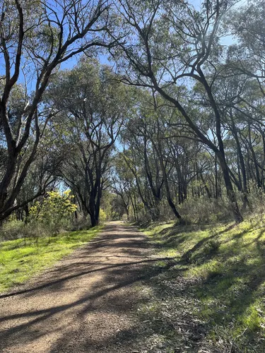 Best Hikes and Trails in Aranda Bushland Nature Reserve | AllTrails