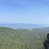 Larch Mountain Trail, Oregon - 698 Reviews, Map | AllTrails