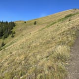 Mount Allan from Ribbon Creek, Alberta, Canada - 809 Reviews, Map ...