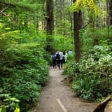 Second Beach, Washington - 1,486 Reviews, Map | AllTrails