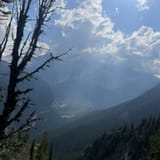 Silver Forest Trail, Washington - 467 Reviews, Map | AllTrails