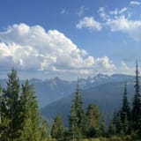 Silver Forest Trail, Washington - 467 Reviews, Map | AllTrails