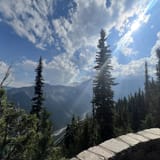 Silver Forest Trail, Washington - 467 Reviews, Map | AllTrails