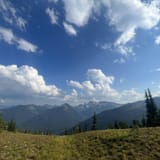 Silver Forest Trail, Washington - 467 Reviews, Map | AllTrails