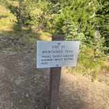 Silver Forest Trail, Washington - 467 Reviews, Map | AllTrails