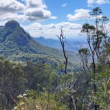 Mount Mitchell Trail, Queensland, Australia - 788 Reviews, Map | AllTrails