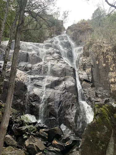 Best Hikes and Trails in Russell Ridge Conservation Area | AllTrails