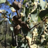 Mount Cooke Loop, Western Australia, Australia - 496 Reviews, Map ...