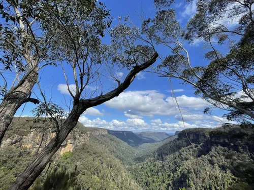 10 Best Walking Trails in Fitzroy Falls | AllTrails