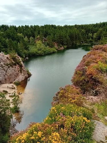 Best Hikes and Trails in The Irish National Heritage Park | AllTrails