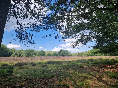 De 10 beste wandelroutes om te wandelen in Eerbeek | AllTrails