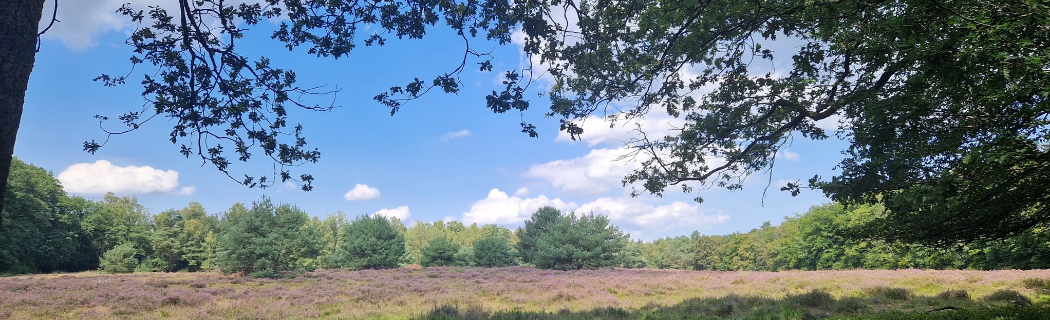 Station Eerbeek - Station Dieren: 24 foto's - Gelderland, Nederland ...