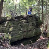 Bilger’s Rocks, Pennsylvania - 125 Reviews, Map | AllTrails