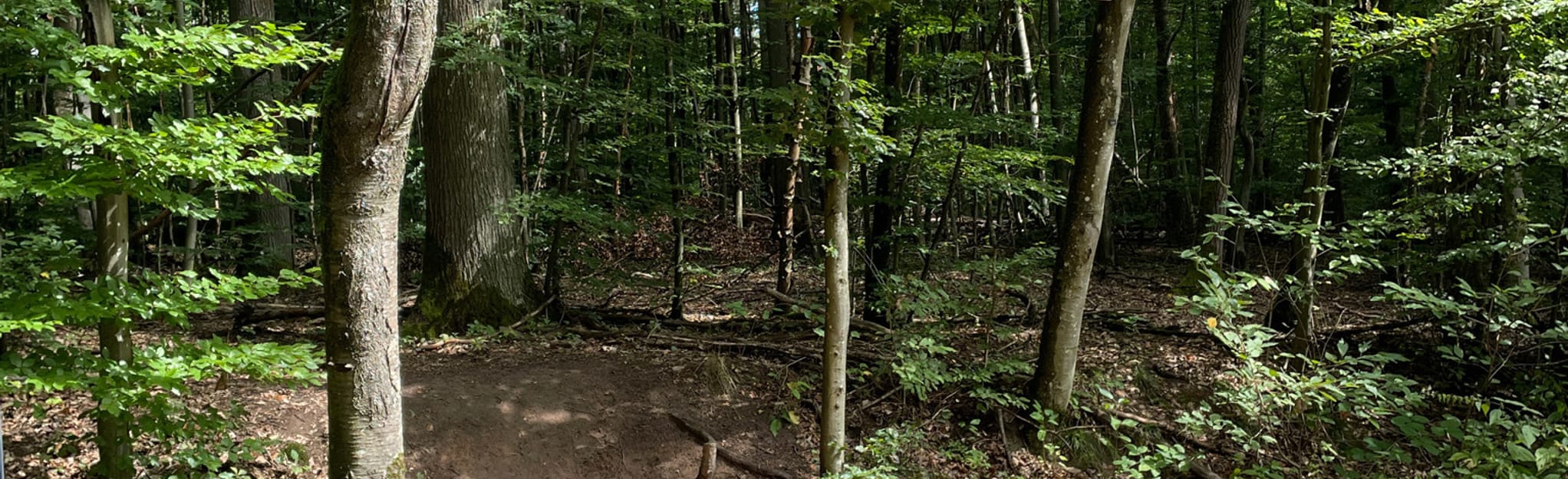 Ebrach: Loop trail "Around the Treetop Walk", Bavaria, Germany - Map ...