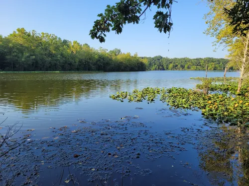 Best Hikes and Trails in Perry County Community Lake | AllTrails