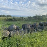 Johnny Reb Trail, Pennsylvania - 535 Reviews, Map | AllTrails