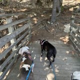 Spirit Pond Preserve, Maine - 130 Reviews, Map | AllTrails