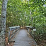 Cash Lake Loop Trail, Maryland - 1,007 Reviews, Map | AllTrails