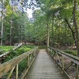 Cash Lake Loop Trail, Maryland - 1,007 Reviews, Map | AllTrails