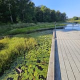 Cash Lake Loop Trail, Maryland - 1,007 Reviews, Map | AllTrails