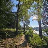 Cash Lake Loop Trail, Maryland - 1,007 Reviews, Map | AllTrails