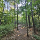 Cash Lake Loop Trail, Maryland - 1,007 Reviews, Map | AllTrails