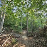 Cash Lake Loop Trail, Maryland - 1,007 Reviews, Map | AllTrails