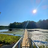 Cash Lake Loop Trail, Maryland - 1,007 Reviews, Map | AllTrails