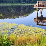 Cash Lake Loop Trail, Maryland - 1,007 Reviews, Map | AllTrails