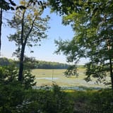 Cash Lake Loop Trail, Maryland - 1,007 Reviews, Map | AllTrails