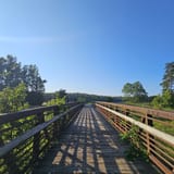 Cash Lake Loop Trail, Maryland - 1,007 Reviews, Map | AllTrails