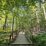 Cash Lake Loop Trail, Maryland - 1,007 Reviews, Map | AllTrails