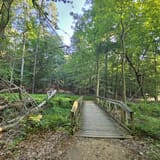 Cash Lake Loop Trail, Maryland - 1,007 Reviews, Map | AllTrails