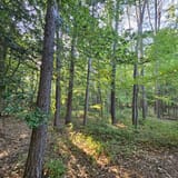 Cash Lake Loop Trail, Maryland - 1,051 Reviews, Map | AllTrails