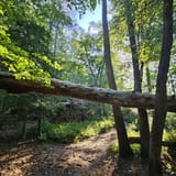 Cash Lake Loop Trail, Maryland - 1,051 Reviews, Map | AllTrails